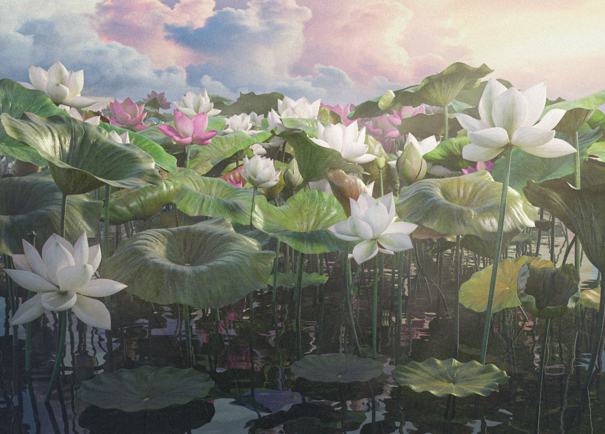 3D model Realistic Lotus Art VR / AR / low-poly | CGTrader