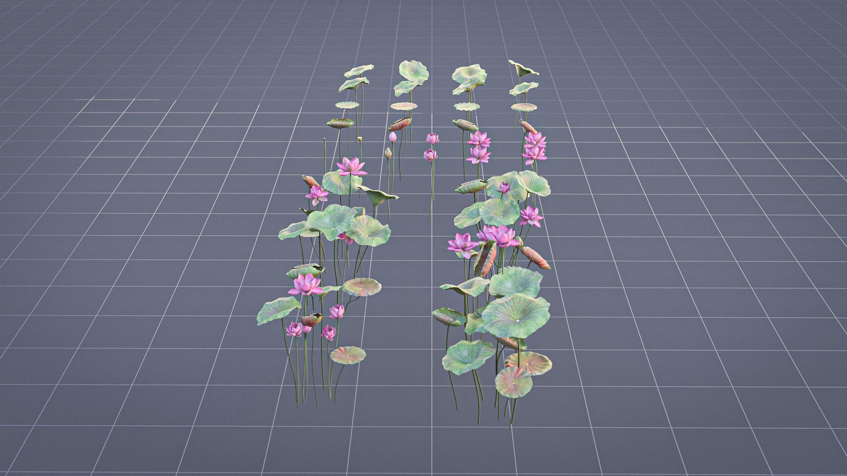 3D model Realistic Lotus Art VR / AR / low-poly | CGTrader
