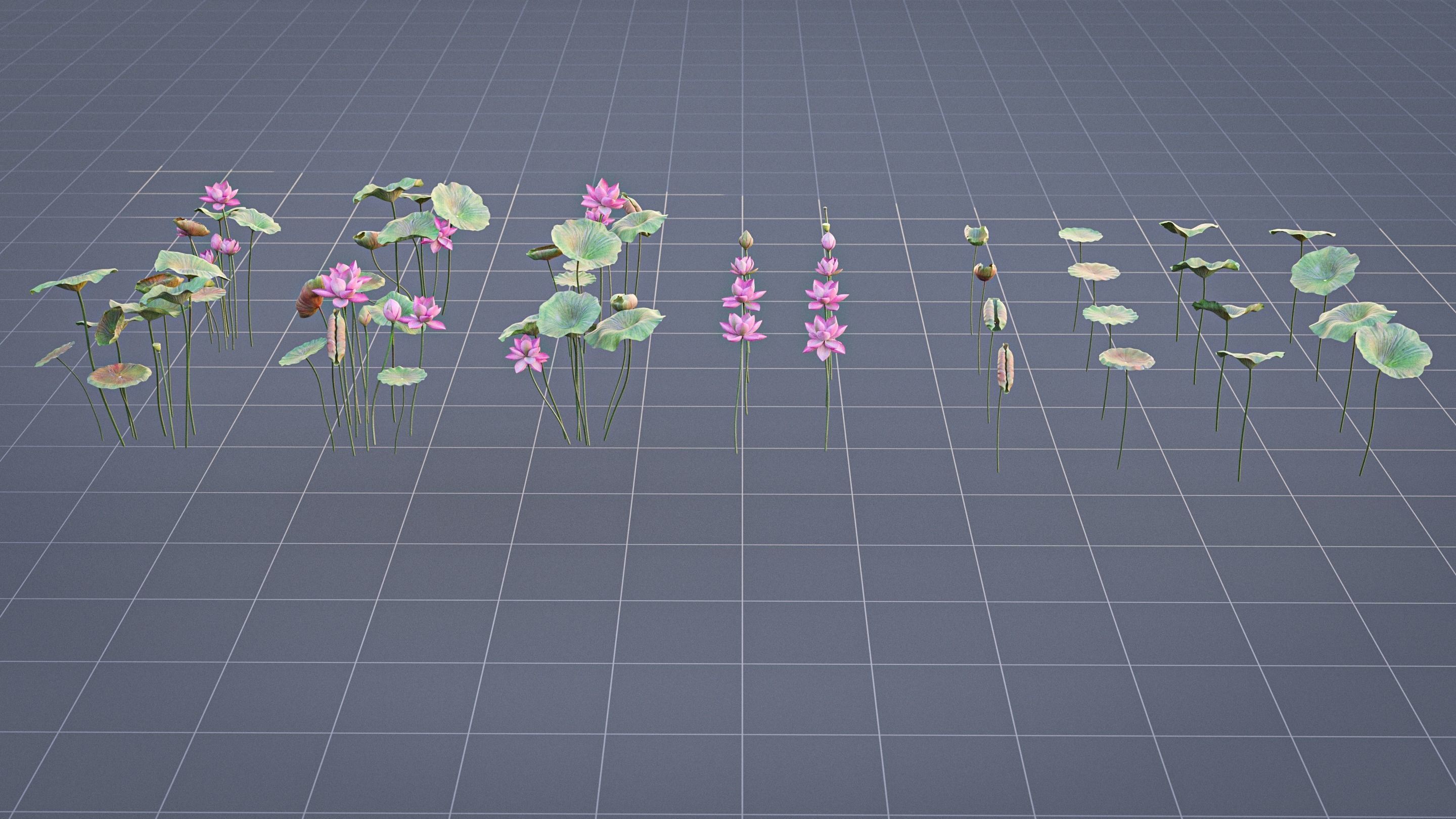 3D model Realistic Lotus Art VR / AR / low-poly | CGTrader