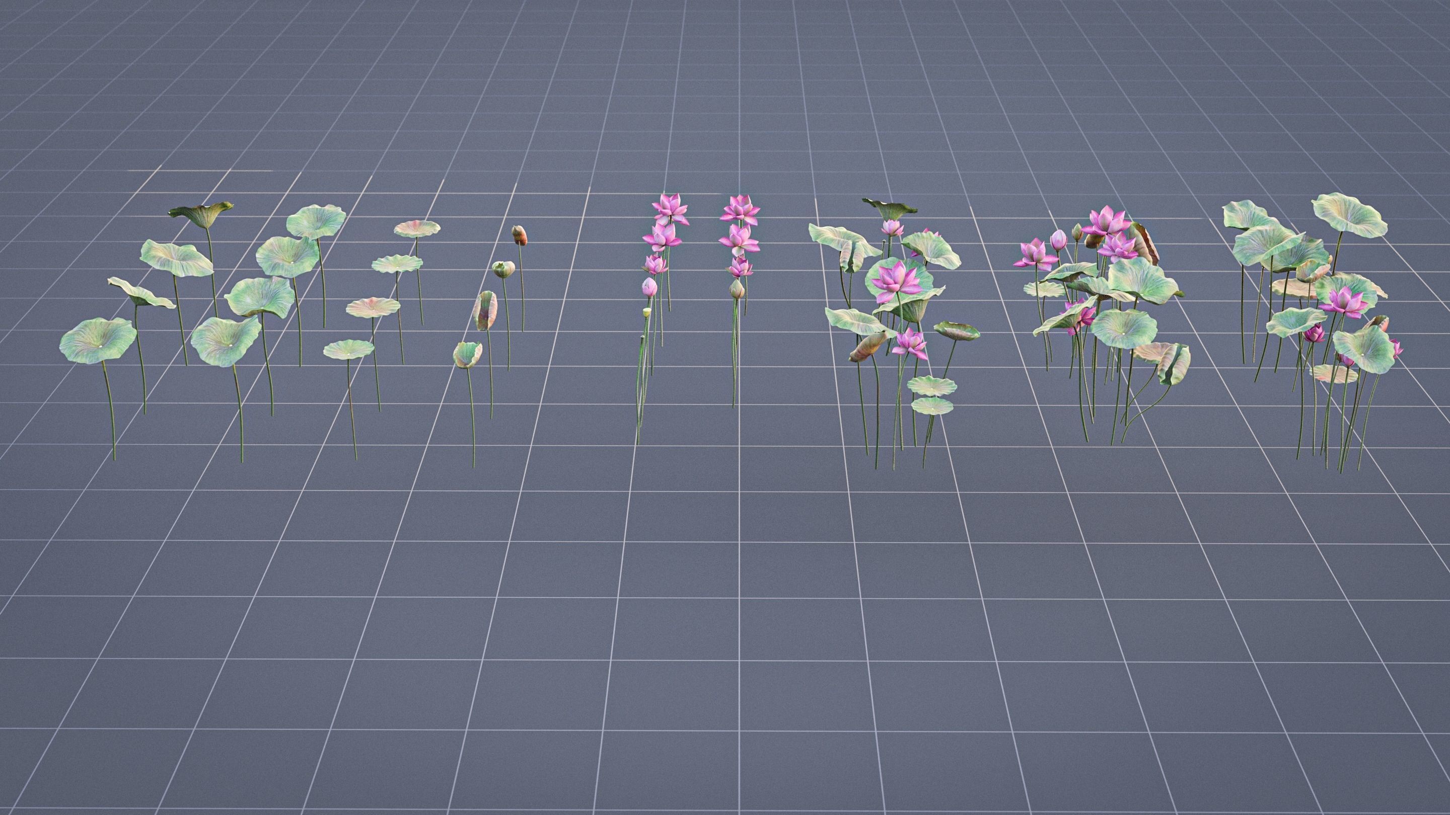 3D model Realistic Lotus Art VR / AR / low-poly | CGTrader