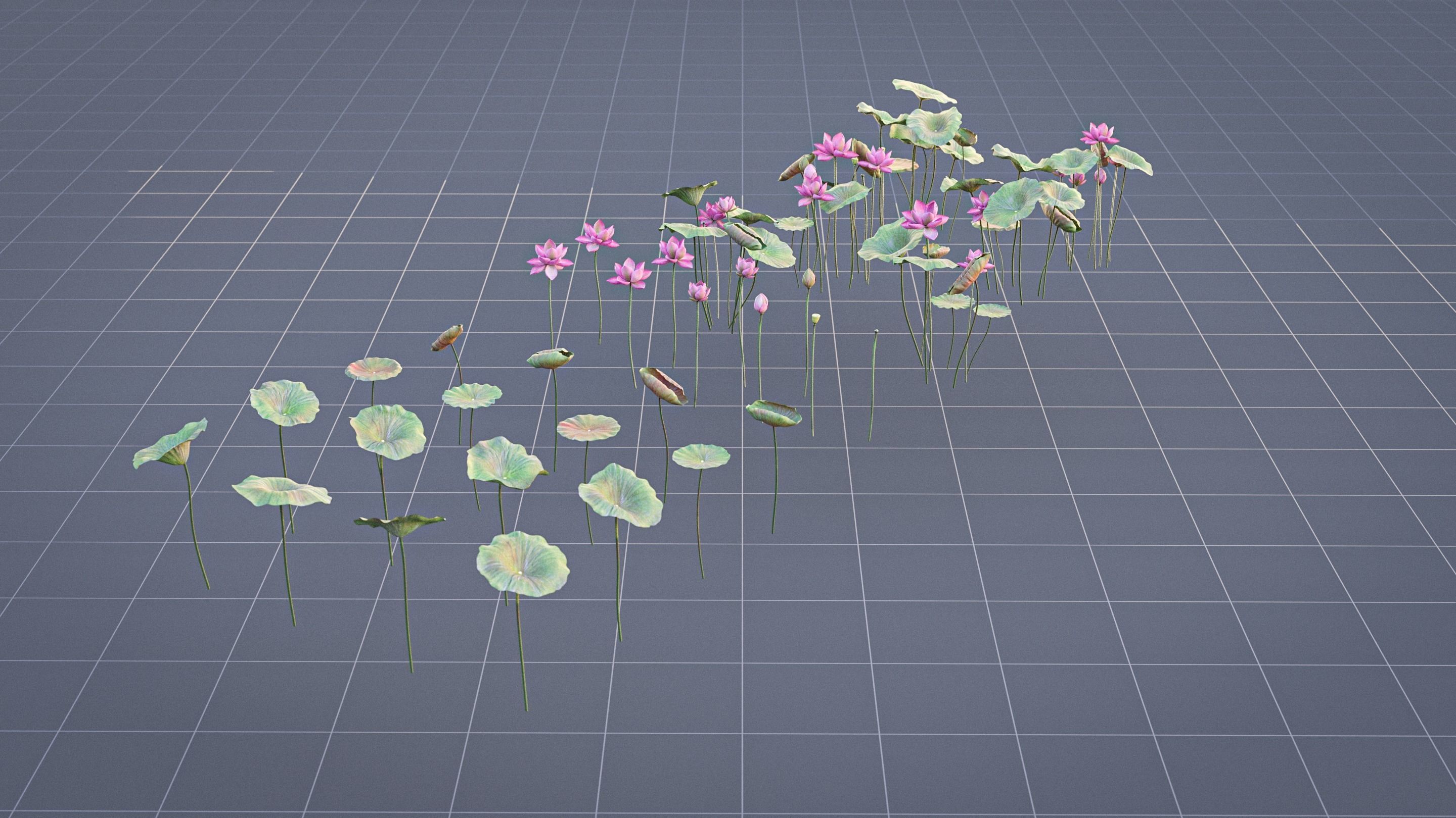 3D model Realistic Lotus Art VR / AR / low-poly | CGTrader