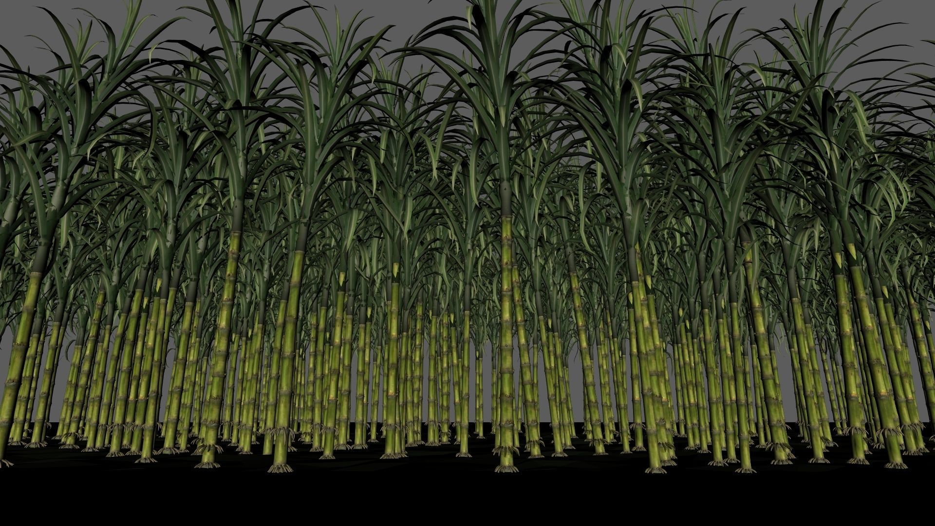 3D model Sugarcane VR / AR / low-poly | CGTrader