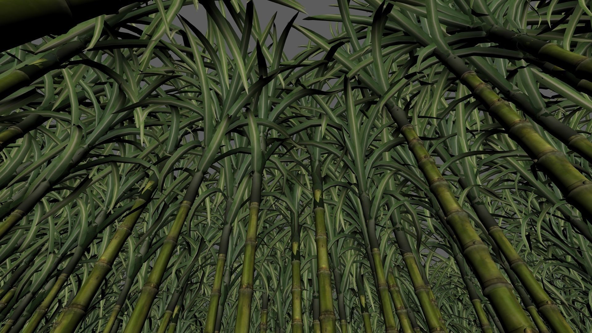 3D model Sugarcane VR / AR / low-poly | CGTrader