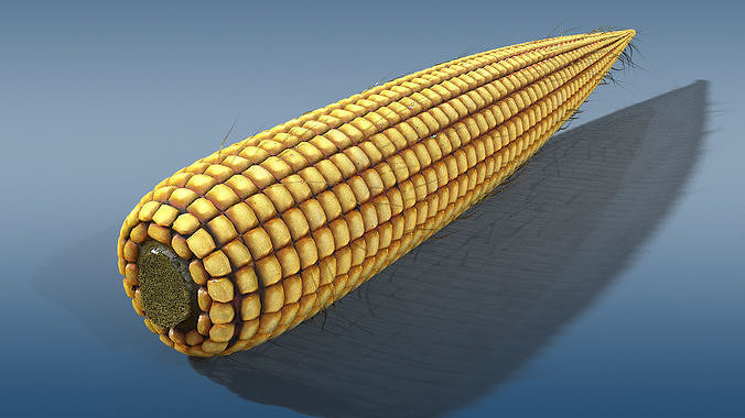 3D model old corn low poly VR / AR / low-poly | CGTrader