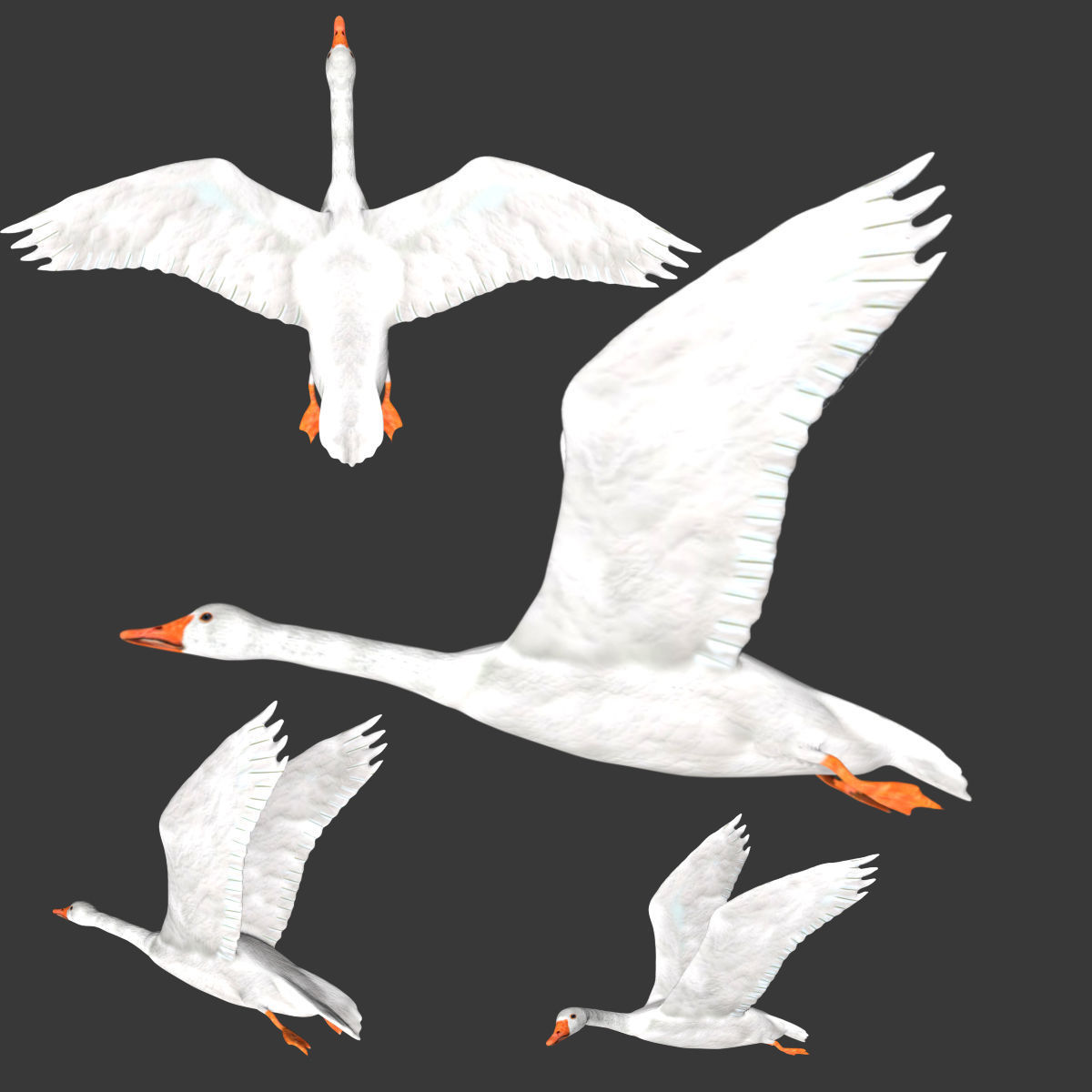 Goose flying in sky 3D model rigged | CGTrader