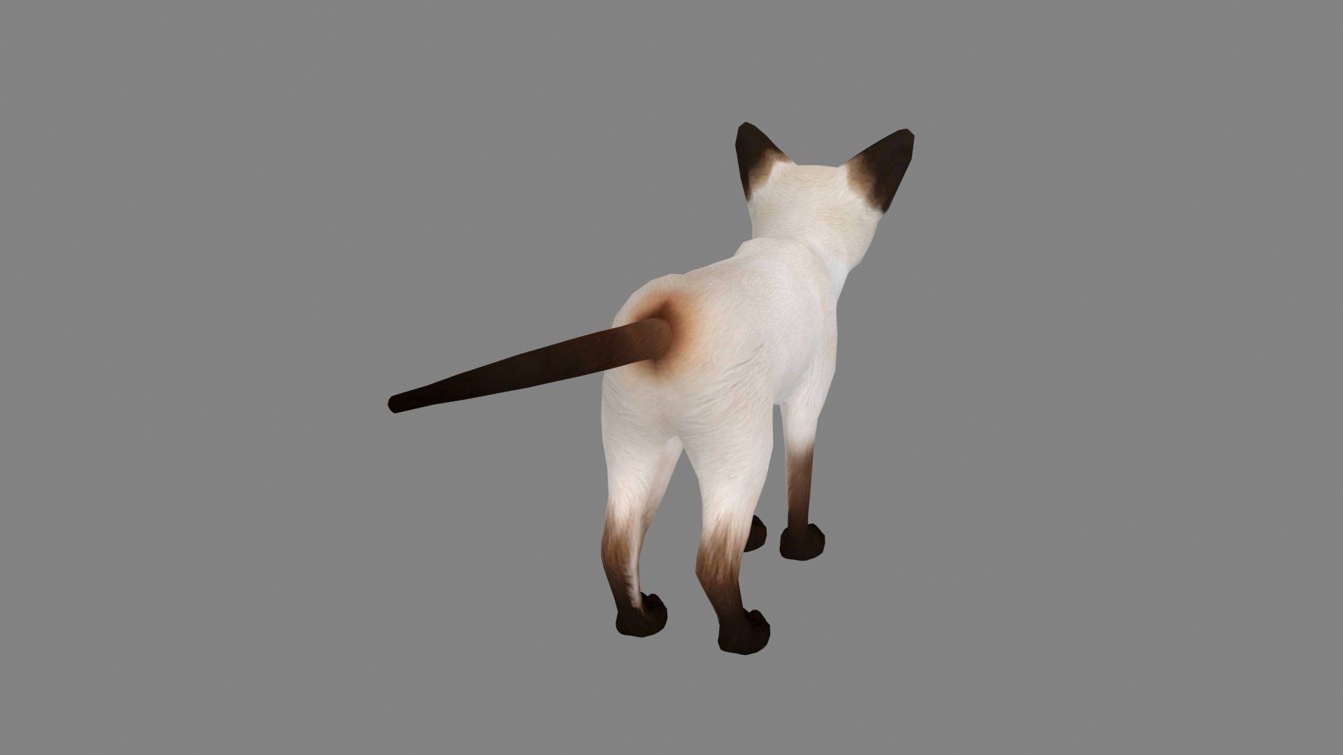 3D model Cartoon siamese cat VR / AR / low-poly | CGTrader