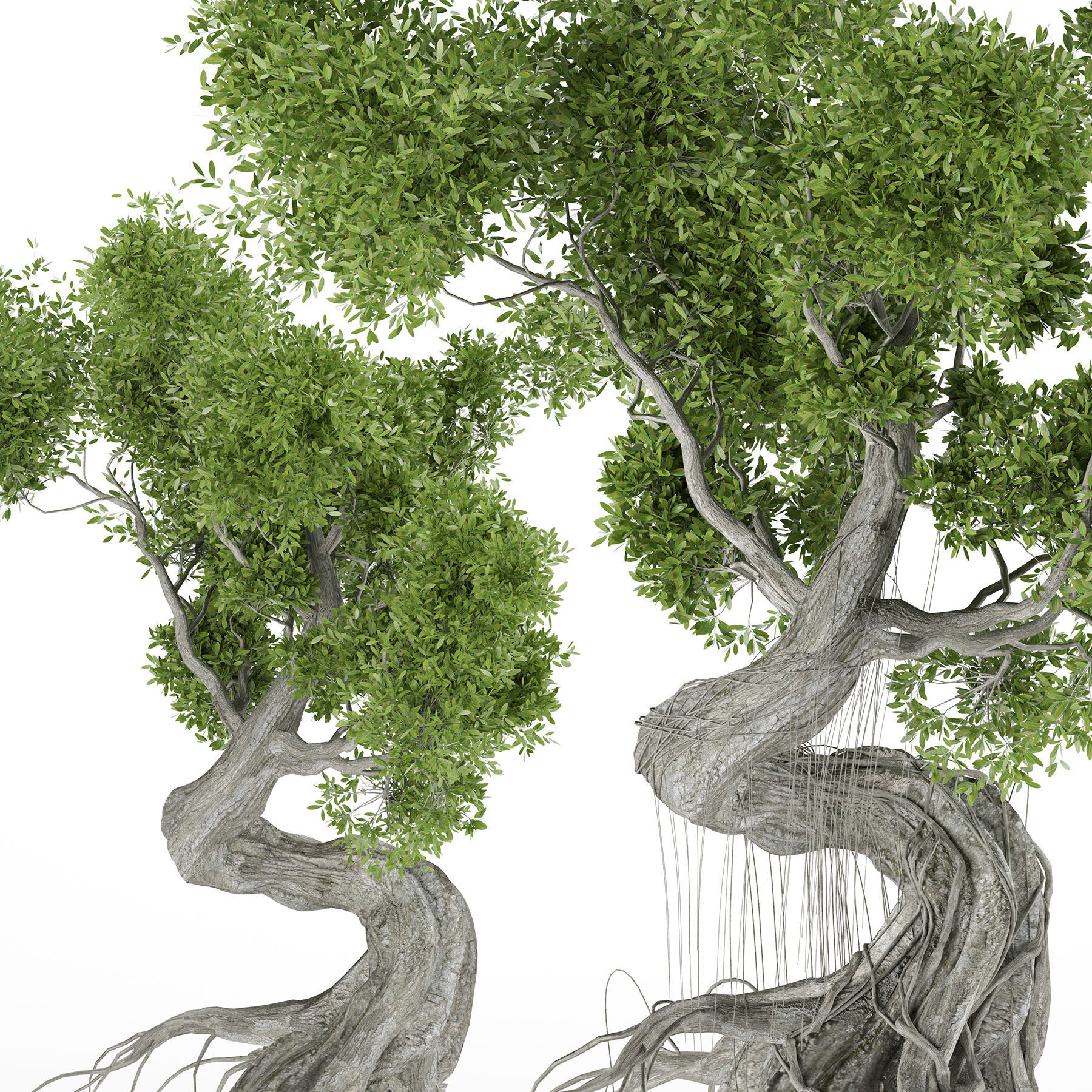 Stylized Tree 3D model | CGTrader