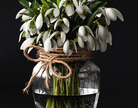 Snowdrop 3D Models | CGTrader