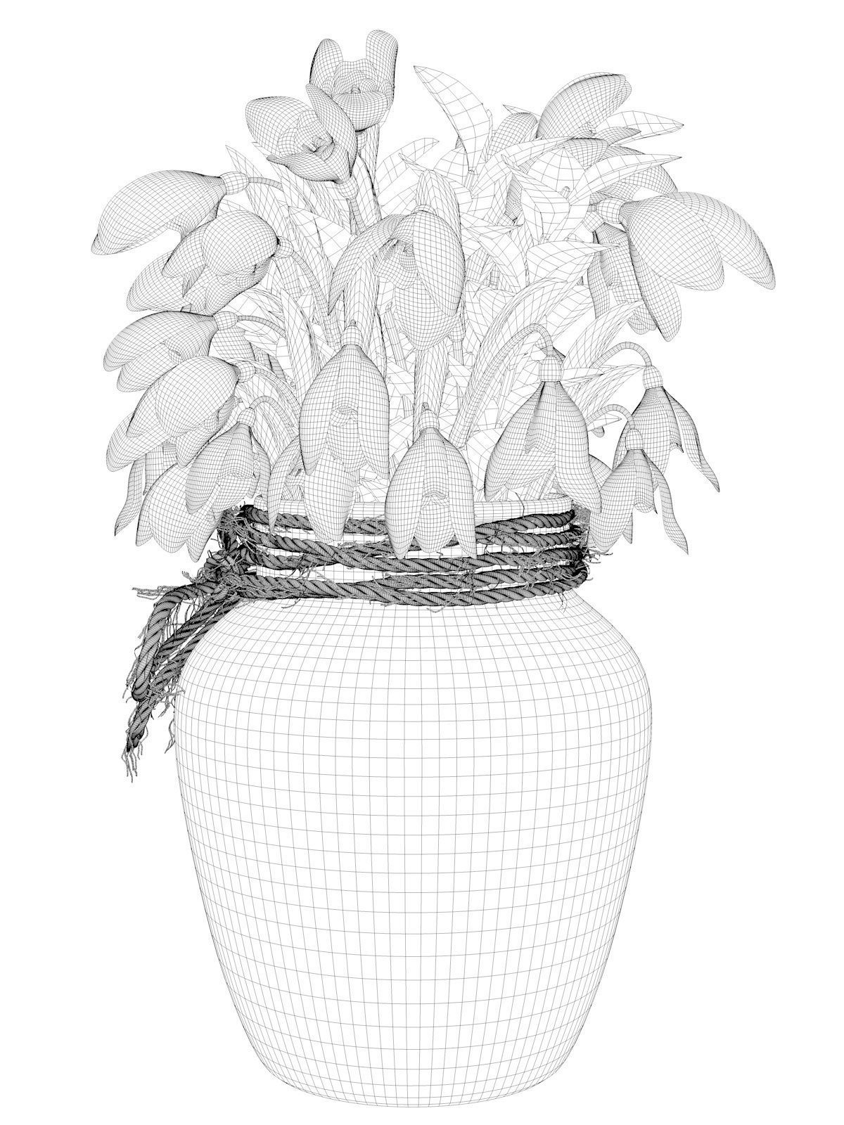 Snowdrop Plant 3D model | CGTrader