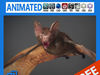 Animated Bat free 3D model animated rigged | CGTrader