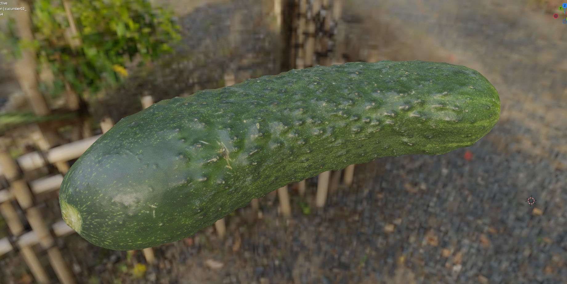 4k Cucumber 3D model | CGTrader