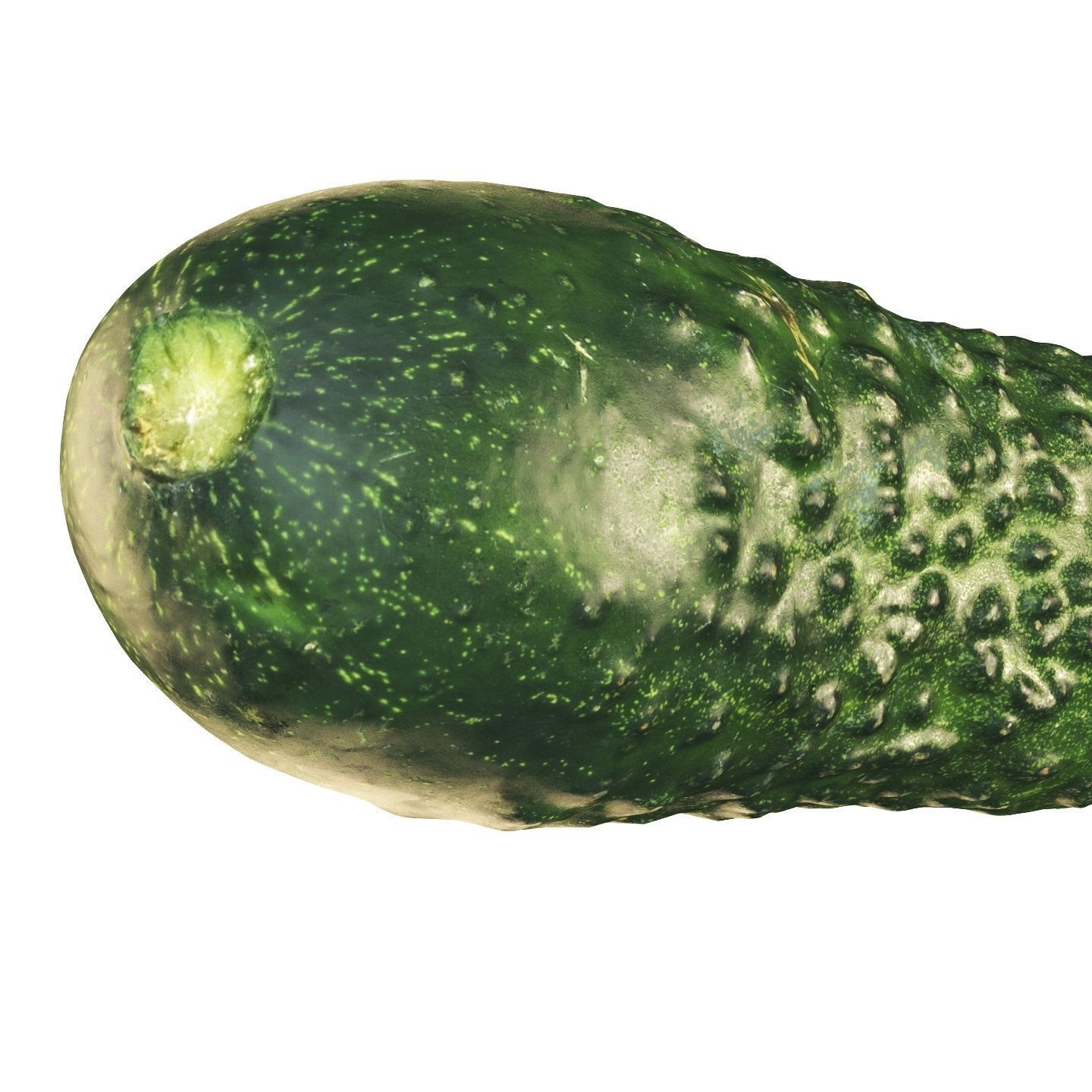 4k Cucumber 3D model | CGTrader