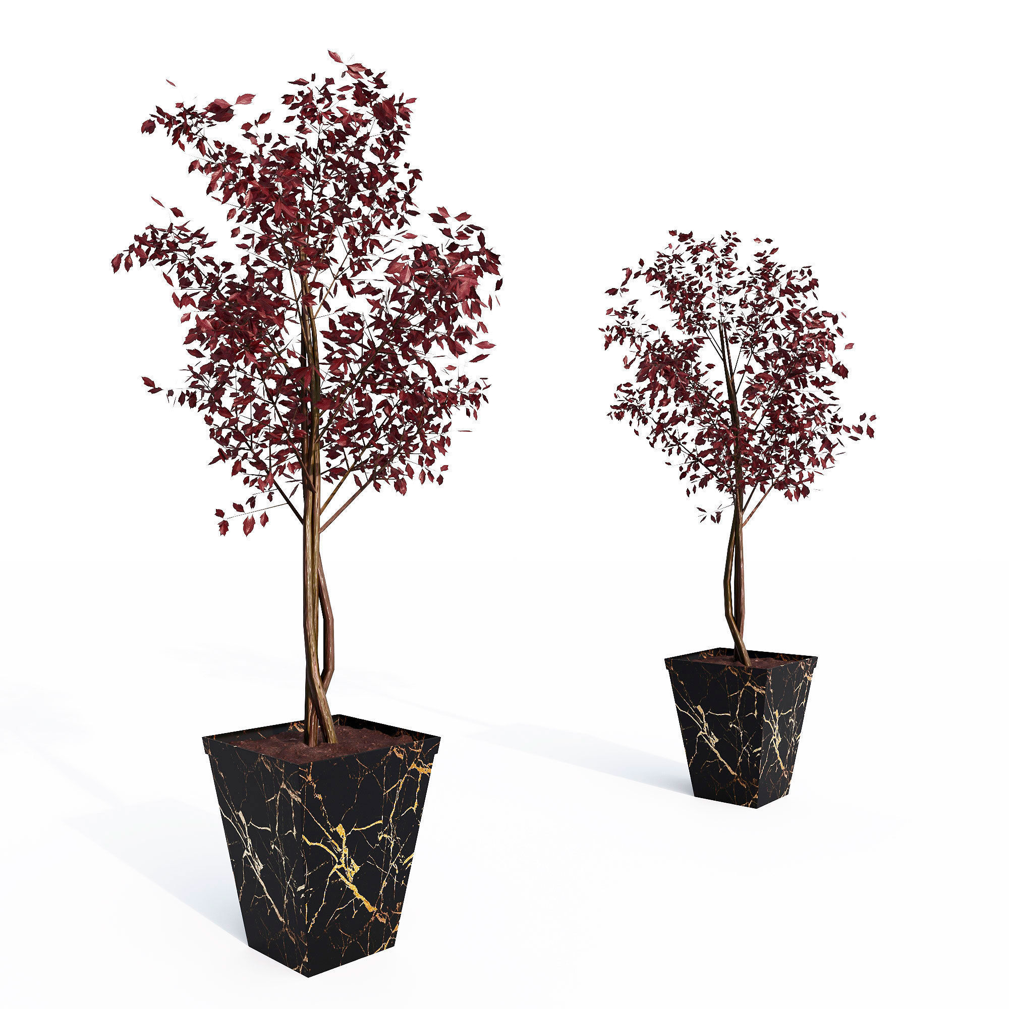 Decorative sapling 3D model | CGTrader