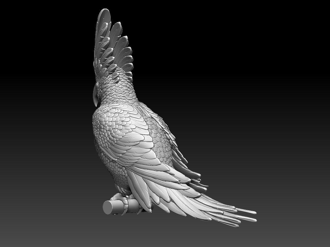 parrot cacadu 3D model 3D printable | CGTrader