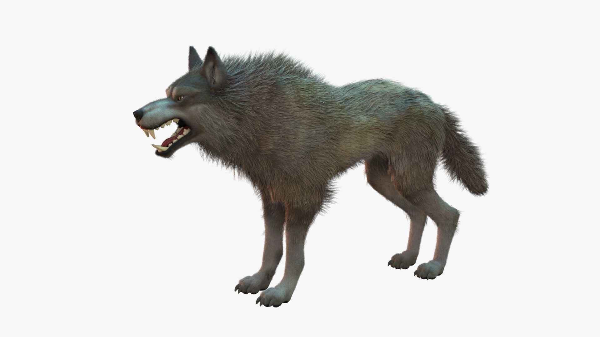 Wolf Rigged 3D model rigged | CGTrader