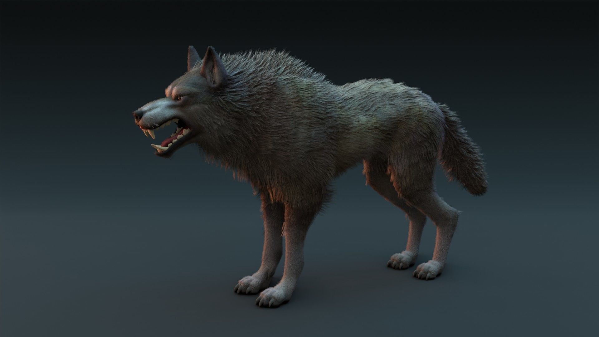Wolf Rigged 3D model rigged | CGTrader