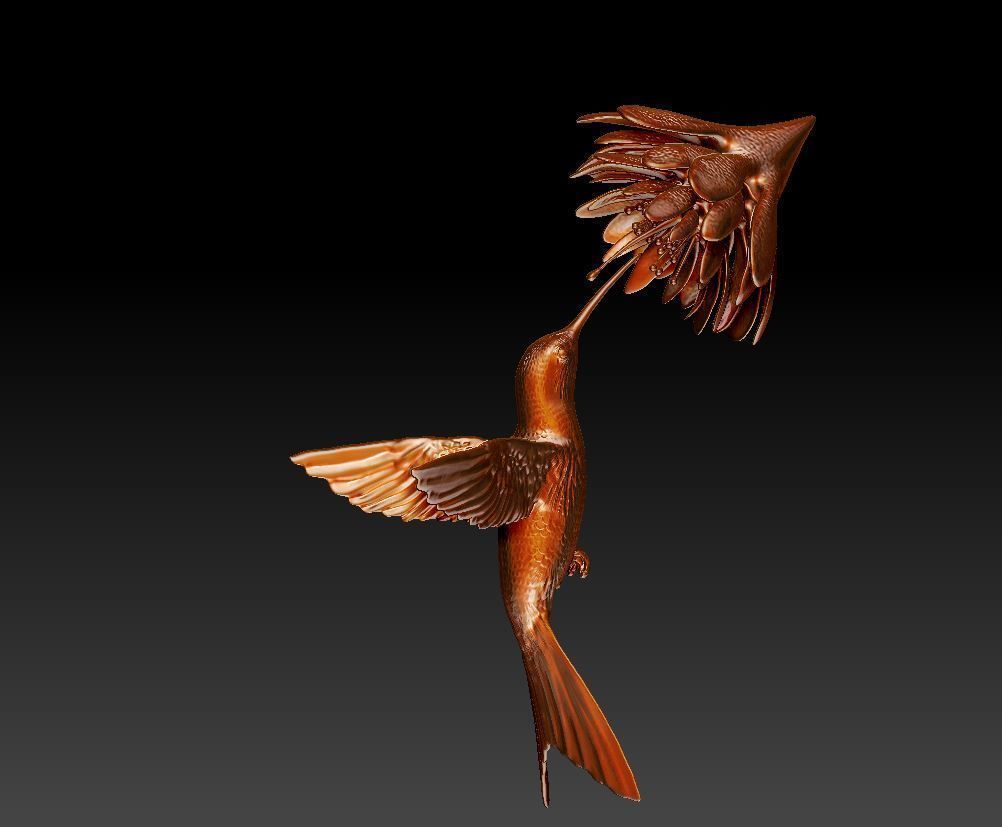 Hummingbird model with flower 3D model 3D printable | CGTrader