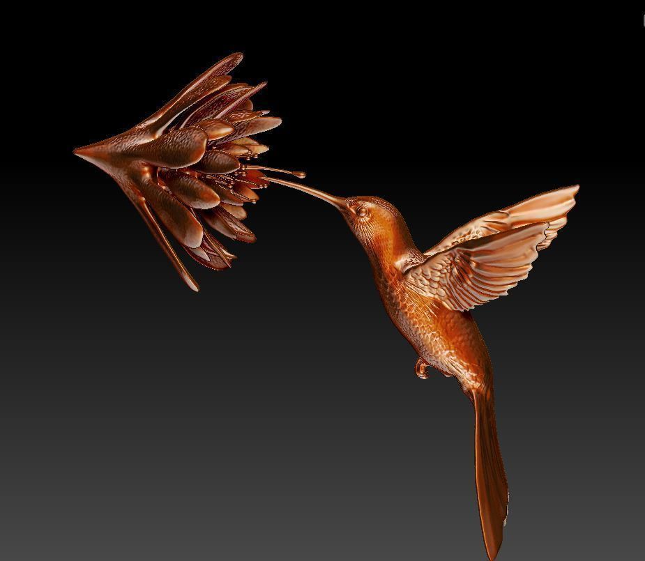 Hummingbird model with flower 3D model 3D printable | CGTrader