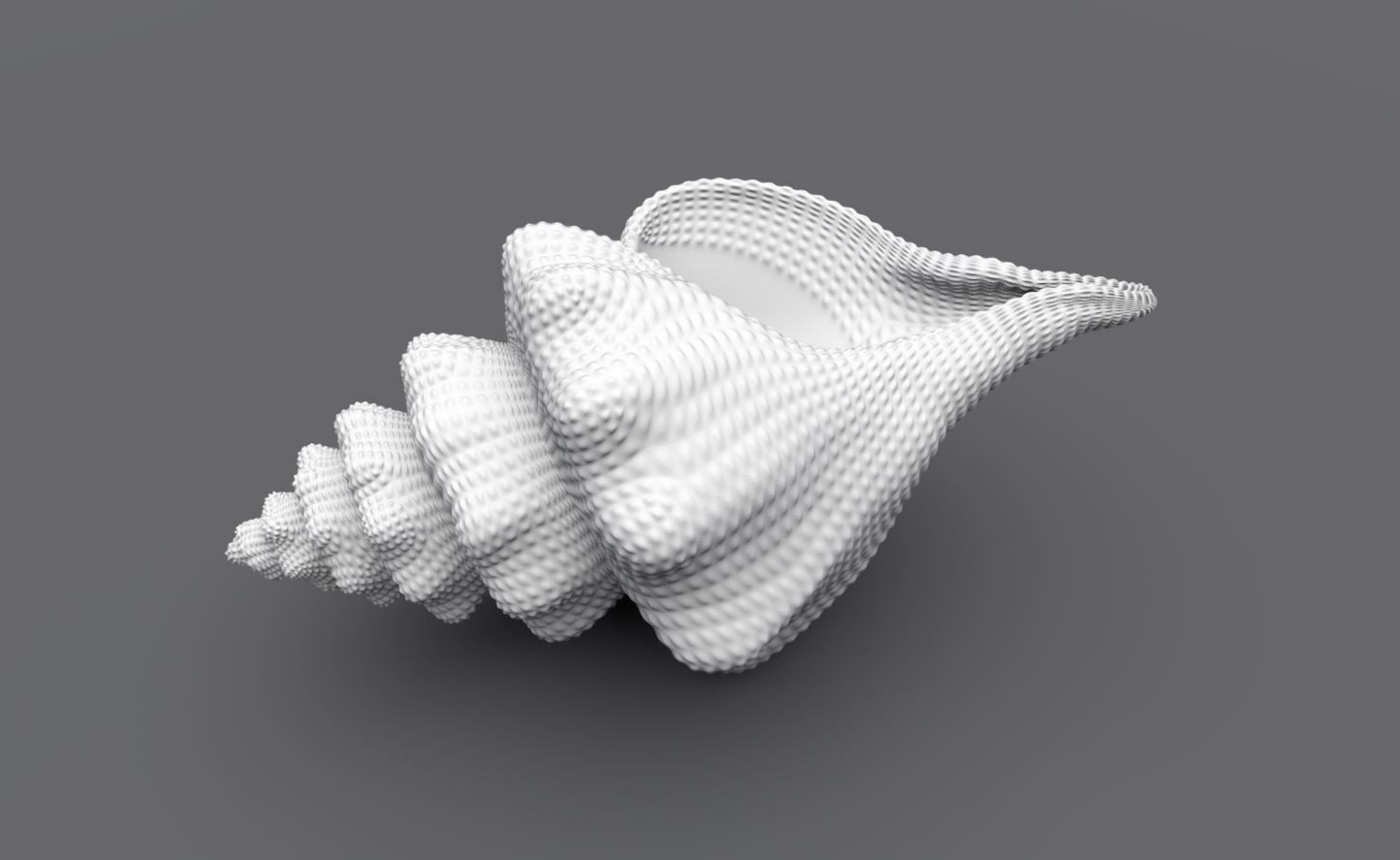 Snail Shell 3D model 3D printable | CGTrader