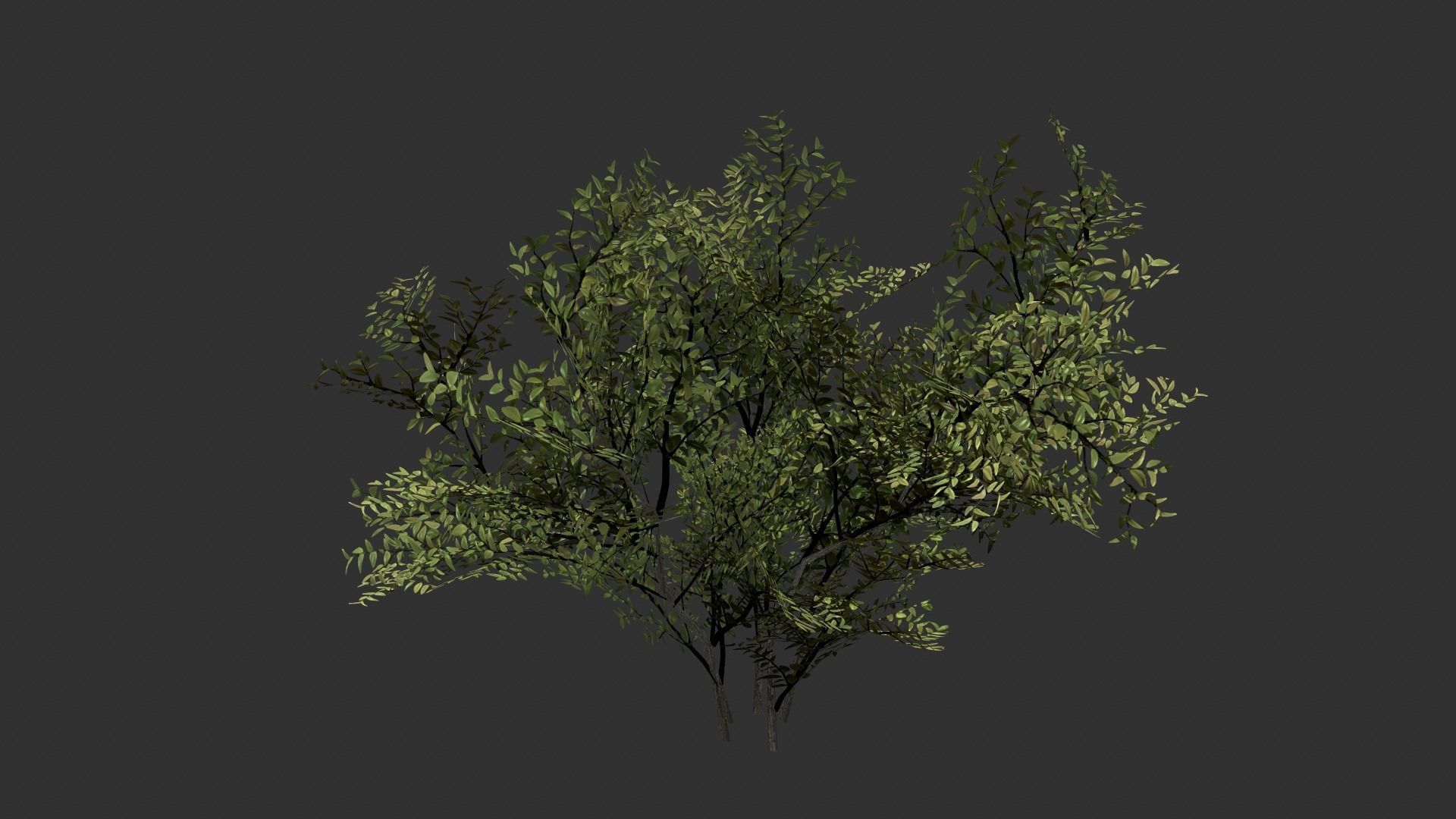 3D model Bush VR / AR / low-poly | CGTrader