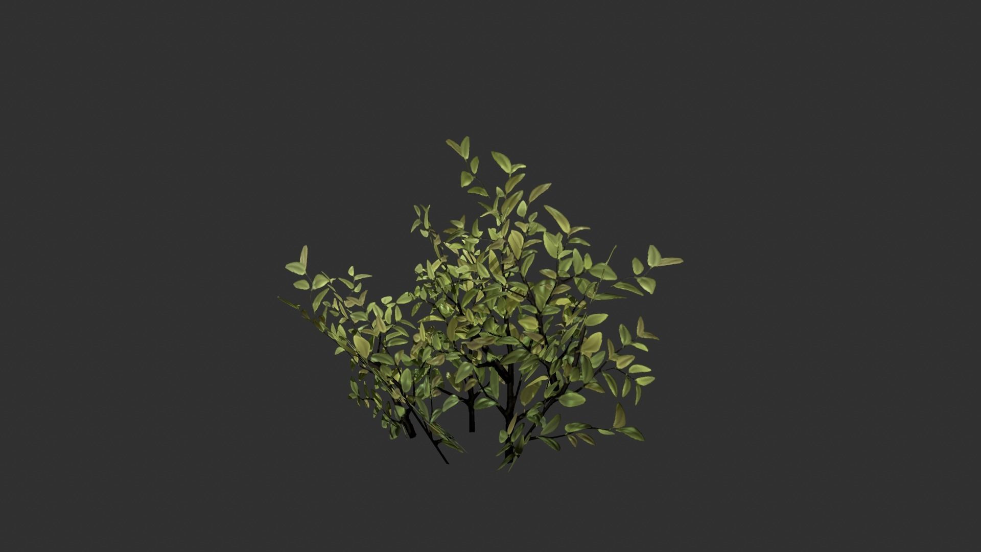 3D model Bush VR / AR / low-poly | CGTrader