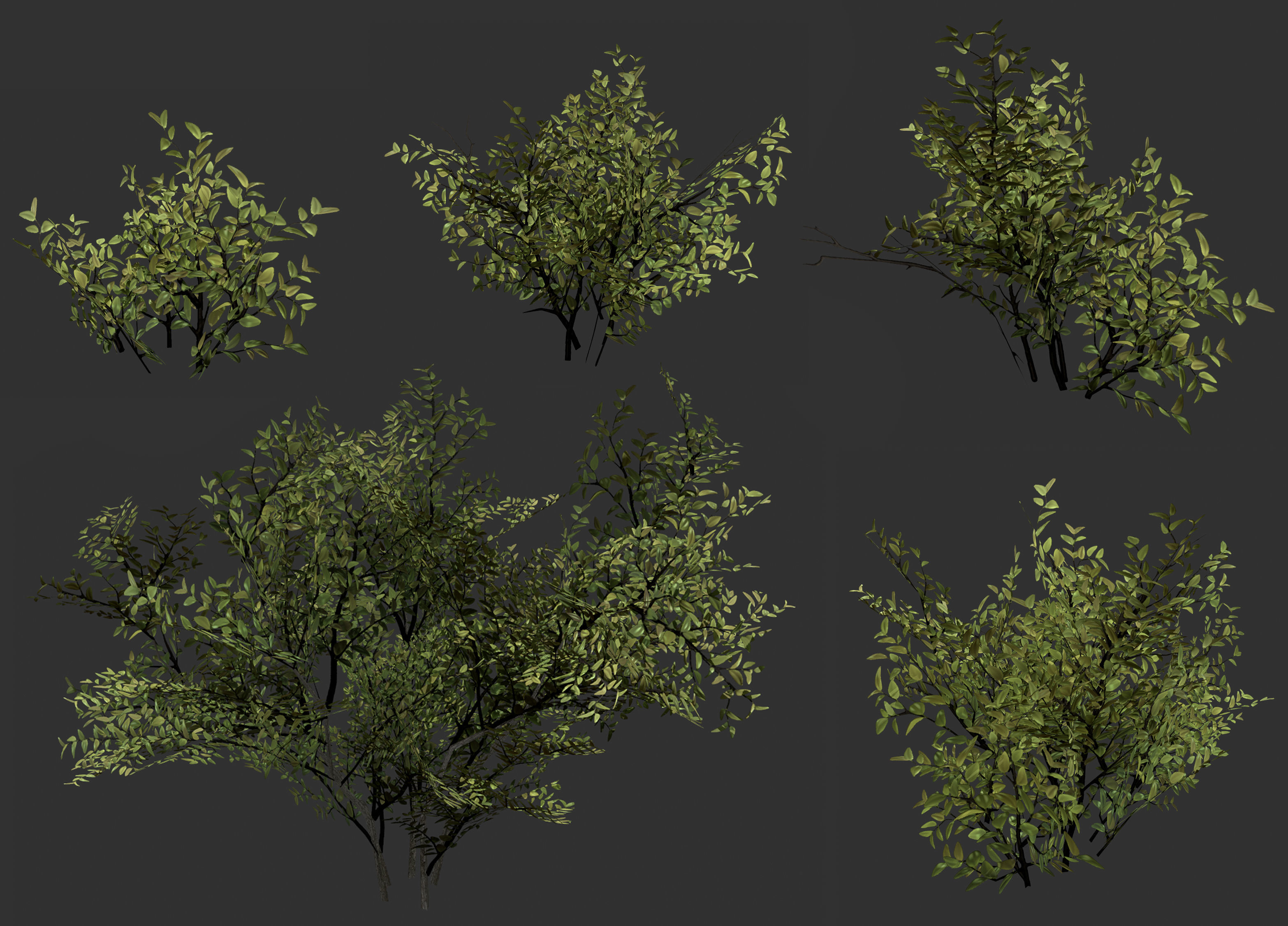 3D model Bush VR / AR / low-poly | CGTrader