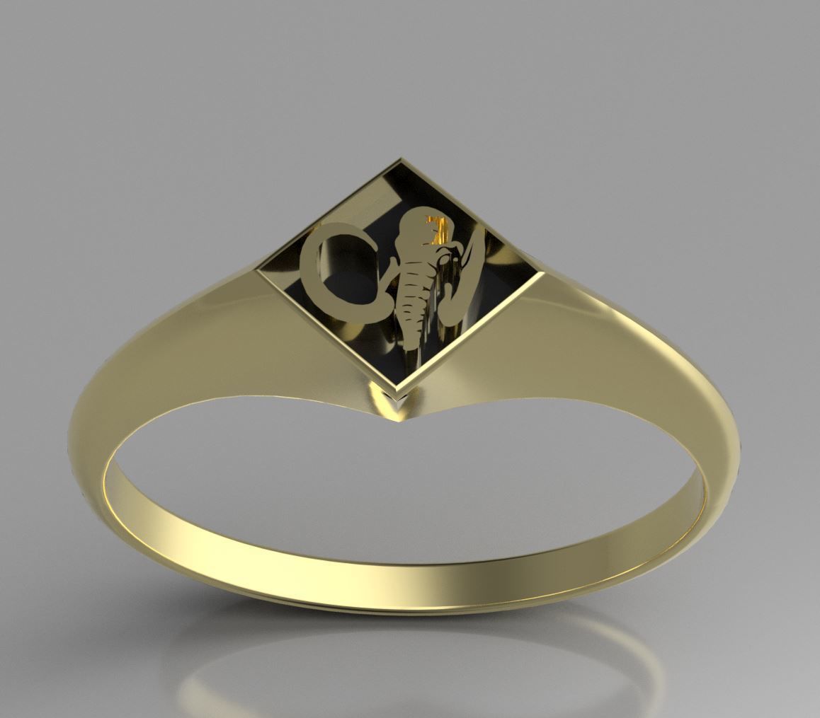 Black Power Ranger Signet 3D model 3D printable | CGTrader