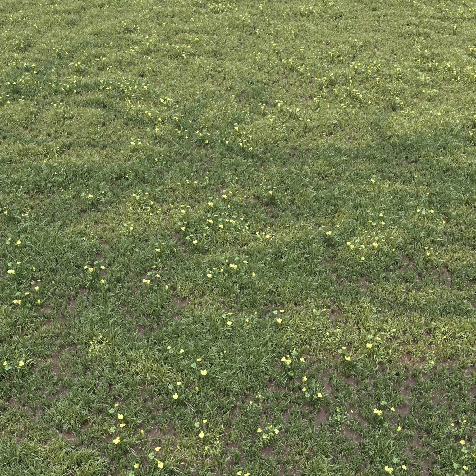 grass for landscape 10 with corona scatter 3D model | CGTrader