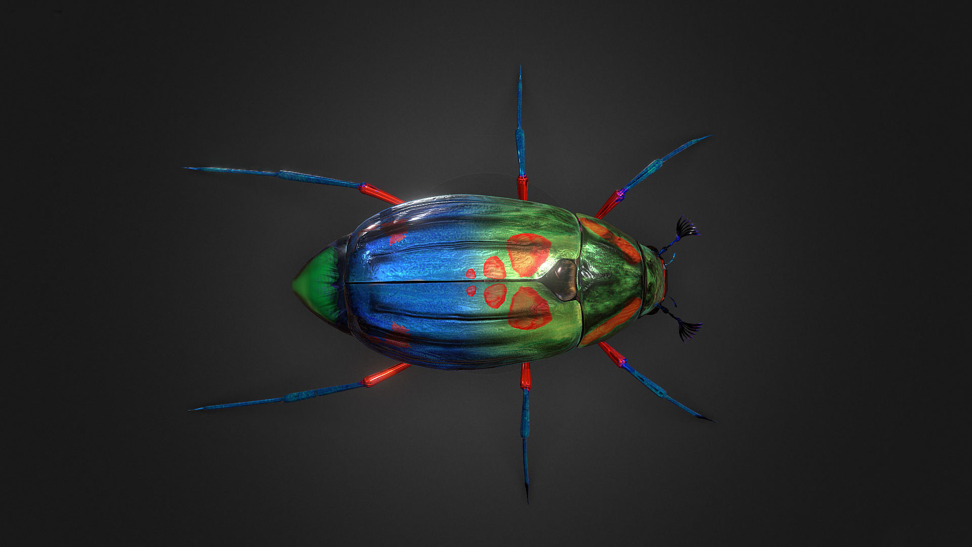 3D model Bug Indian Jewel Beetle PBR VR VR / AR / low-poly | CGTrader