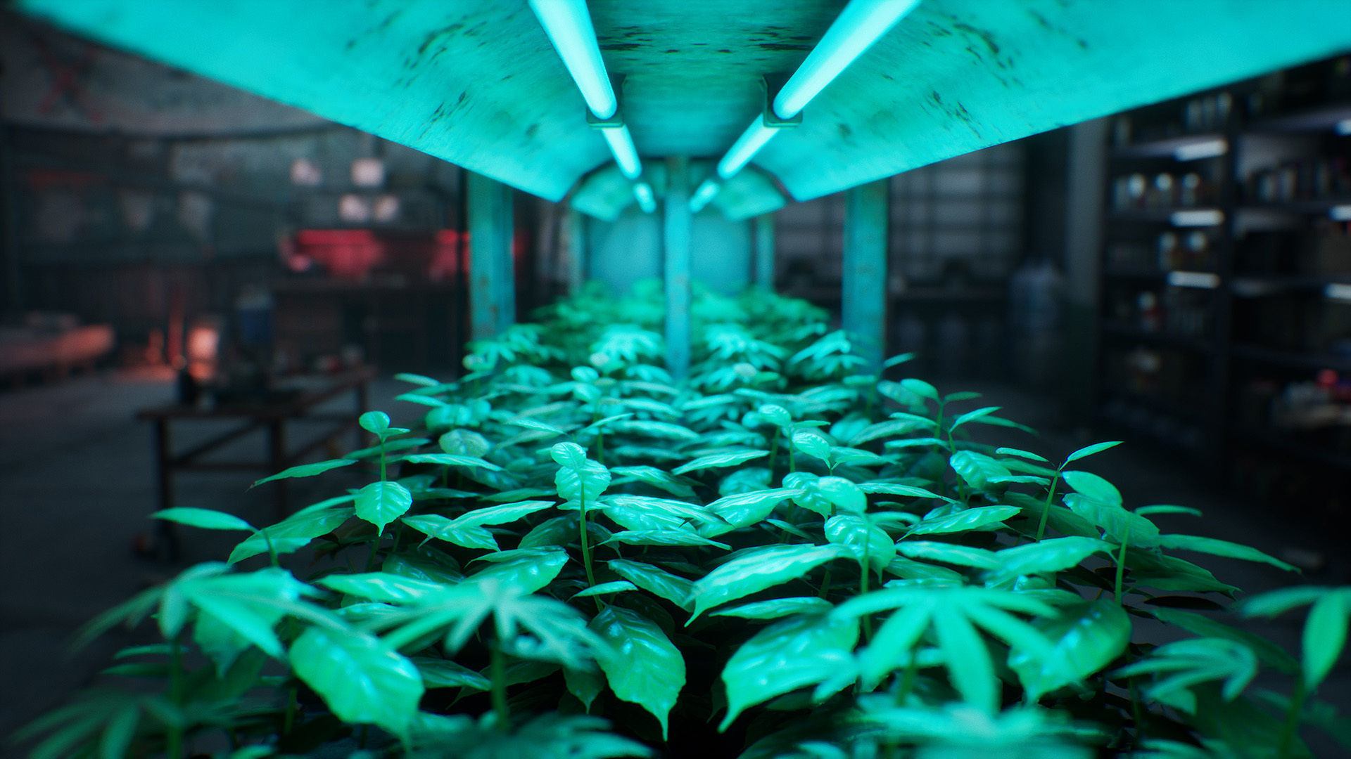 3D model Safe House VR / AR / low-poly | CGTrader