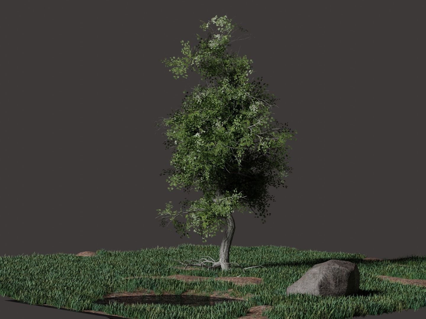 Forest Pack free 3D model | CGTrader