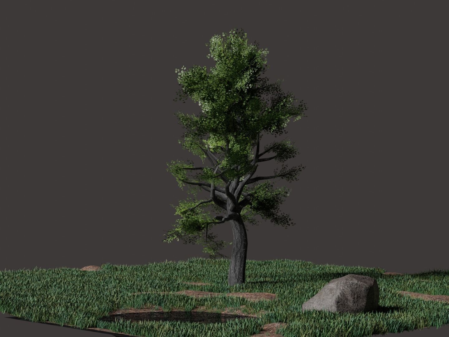 Forest Pack free 3D model | CGTrader