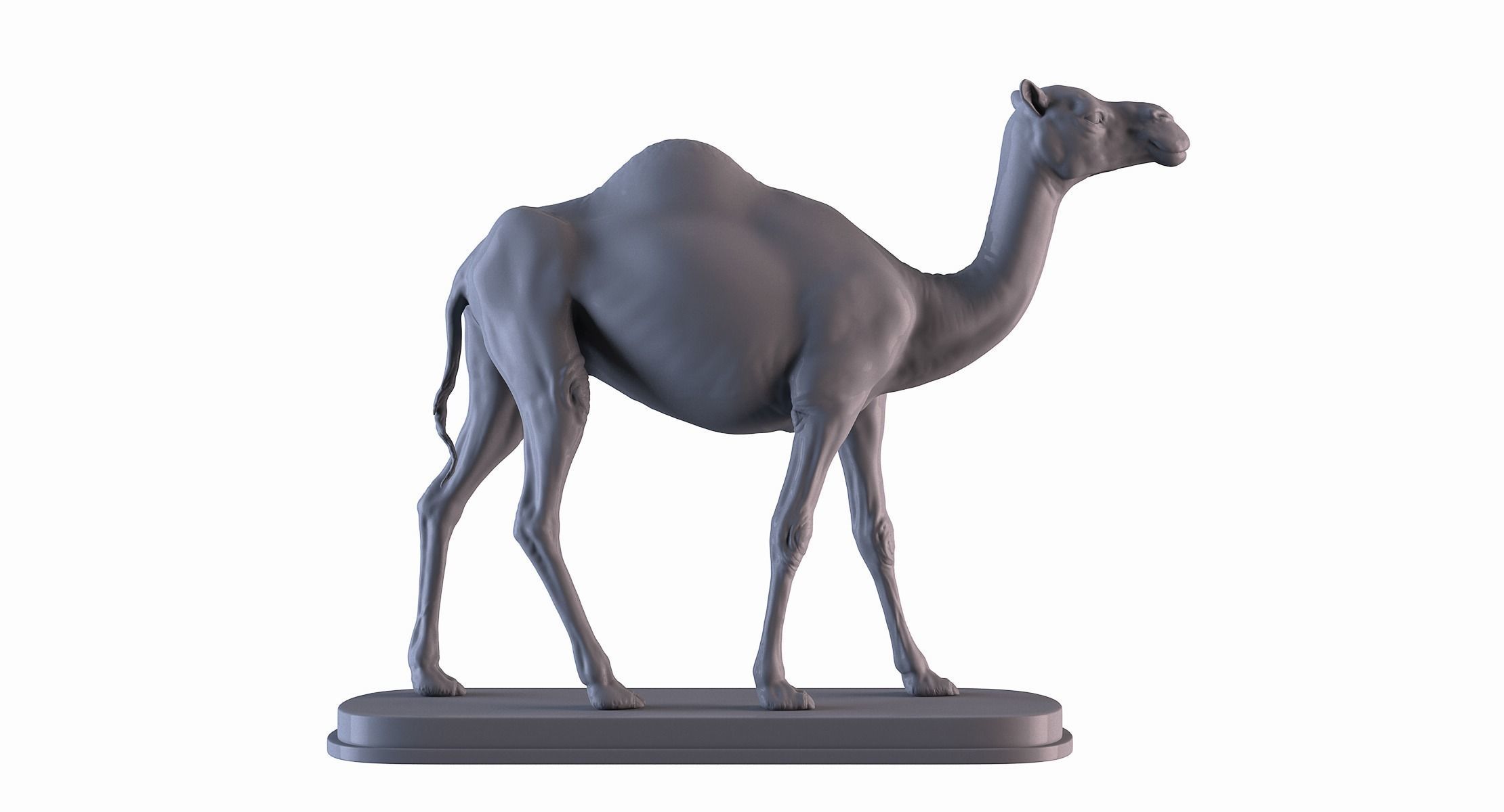Camel 3D model 3D printable | CGTrader