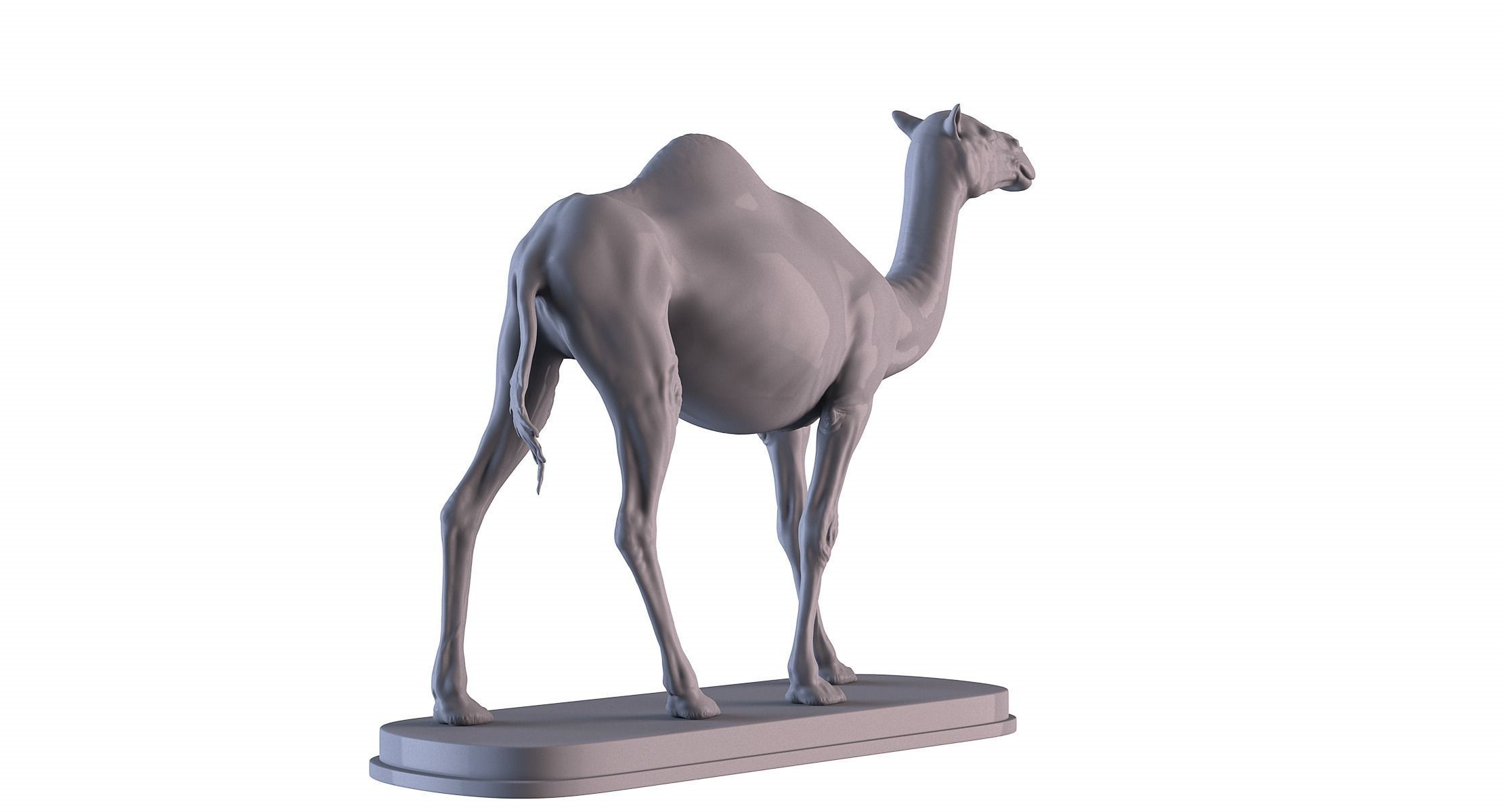 Camel 3D model 3D printable | CGTrader