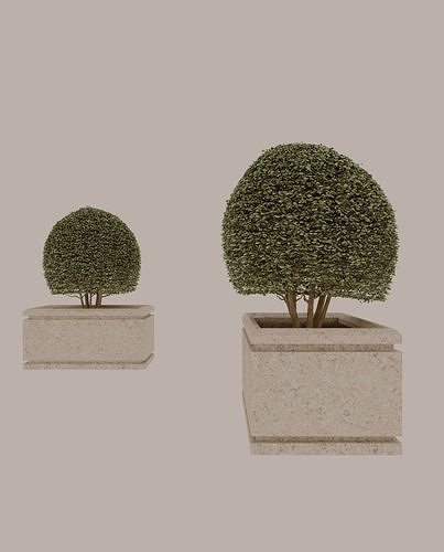 Bush plant 3D model | CGTrader