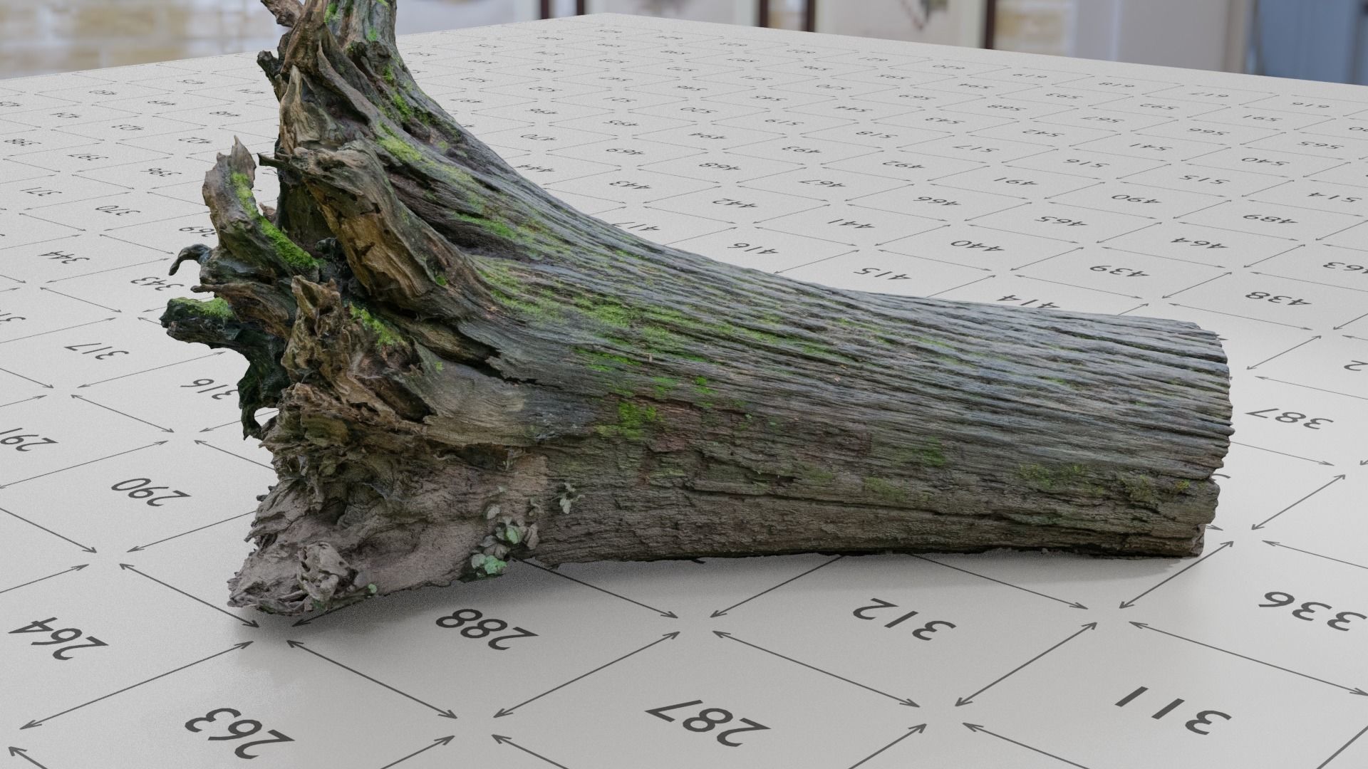 3D model Old Rotten Fallen Tree 3D Scanned VR / AR / low-poly | CGTrader