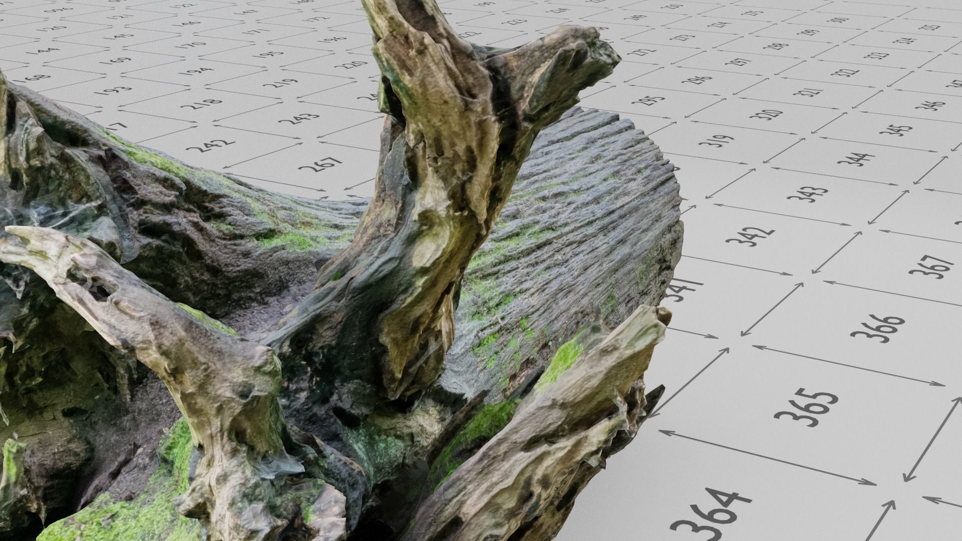 3D model Old Rotten Fallen Tree 3D Scanned VR / AR / low-poly | CGTrader