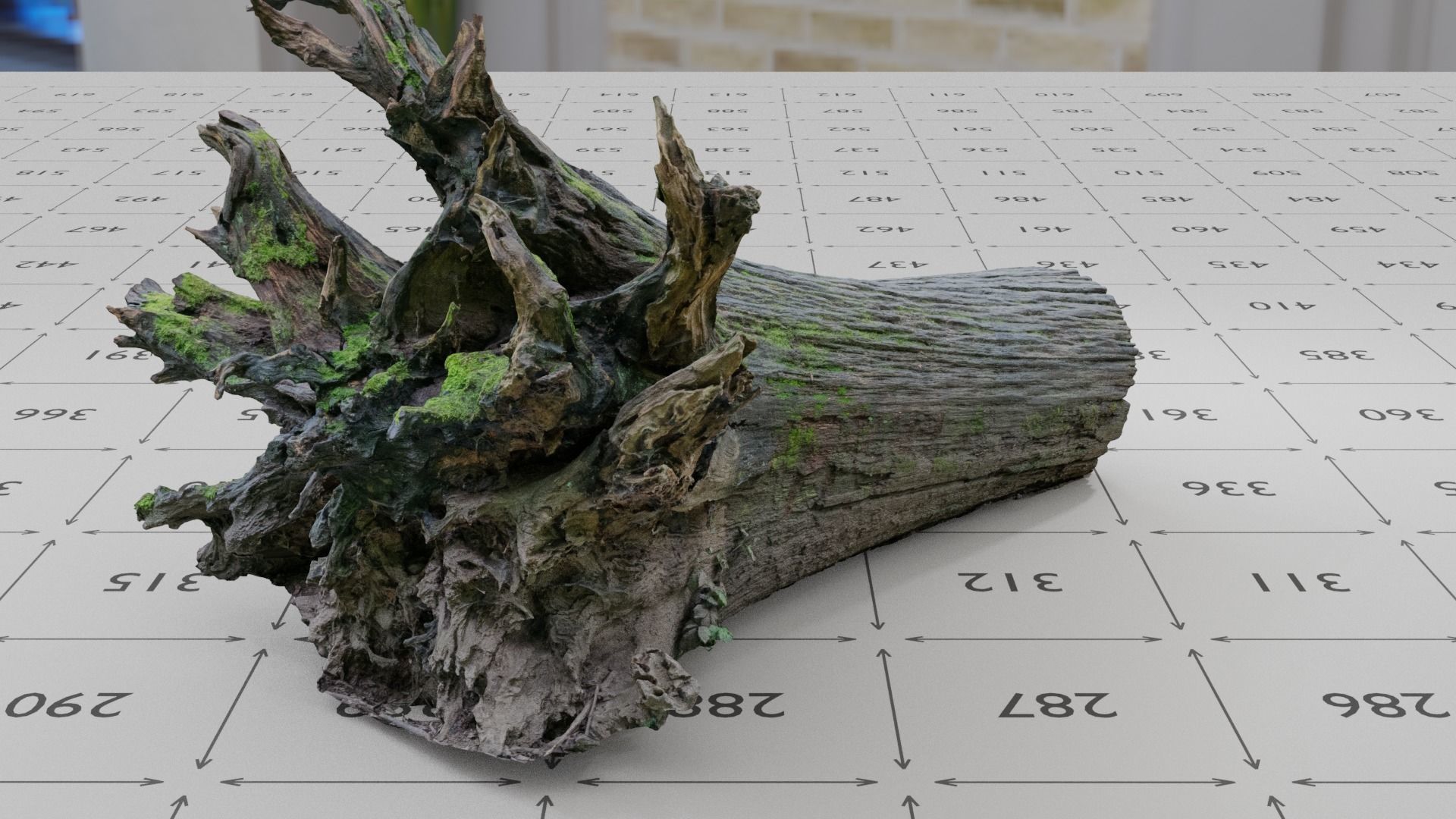 3D model Old Rotten Fallen Tree 3D Scanned VR / AR / low-poly | CGTrader