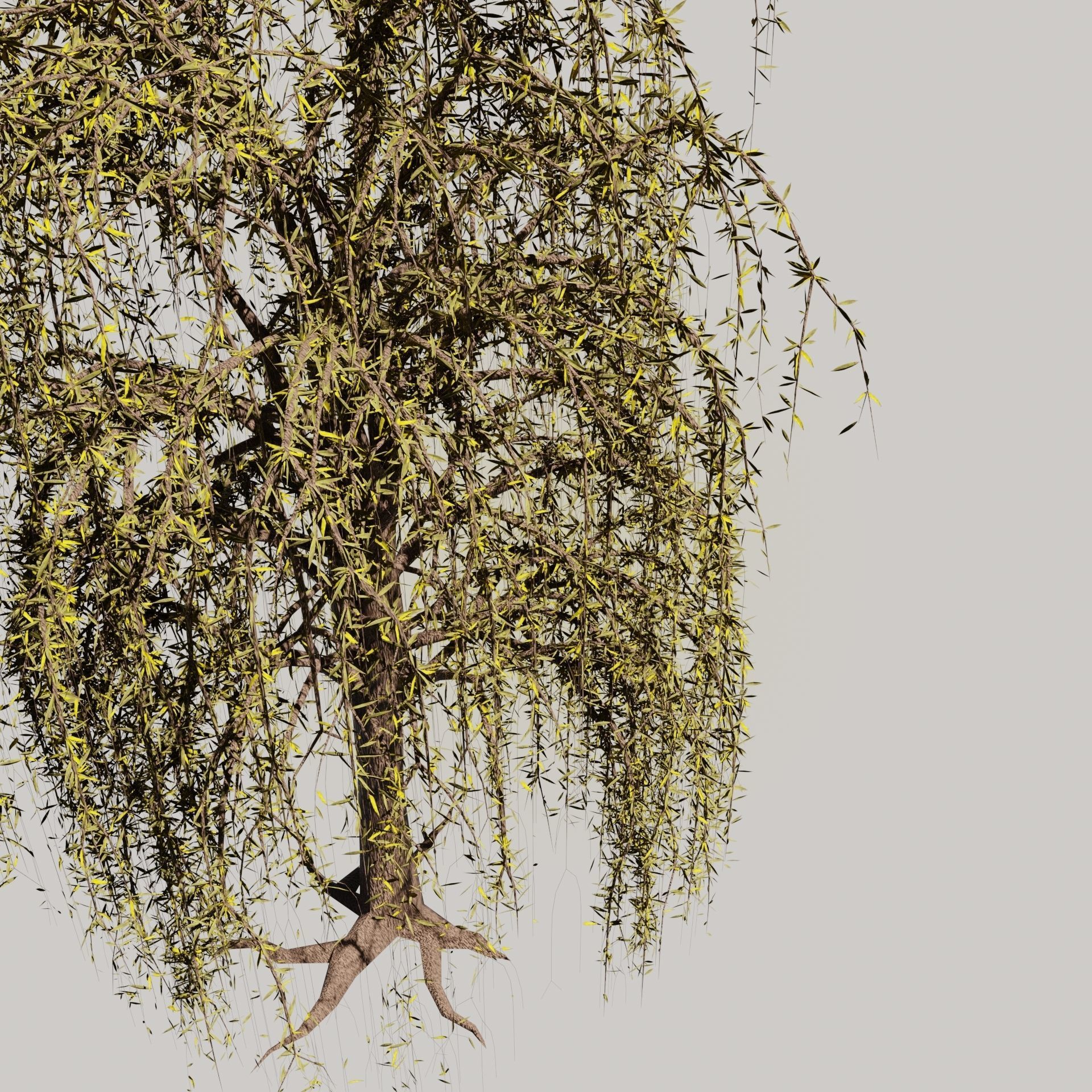 The Willow Tree high poly 3D model free 3D model | CGTrader