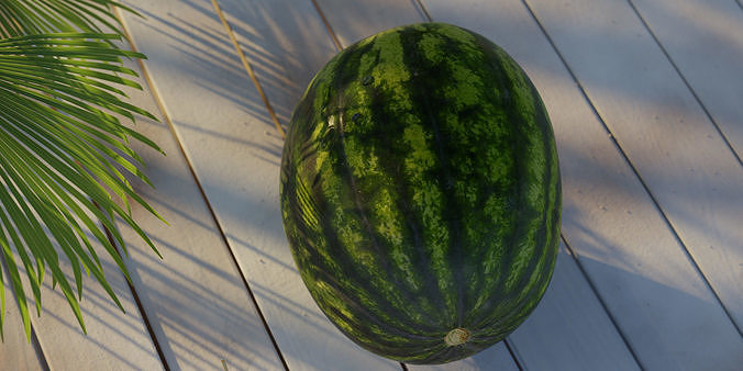 3D model Photorealistic Watermelon VR / AR / low-poly | CGTrader