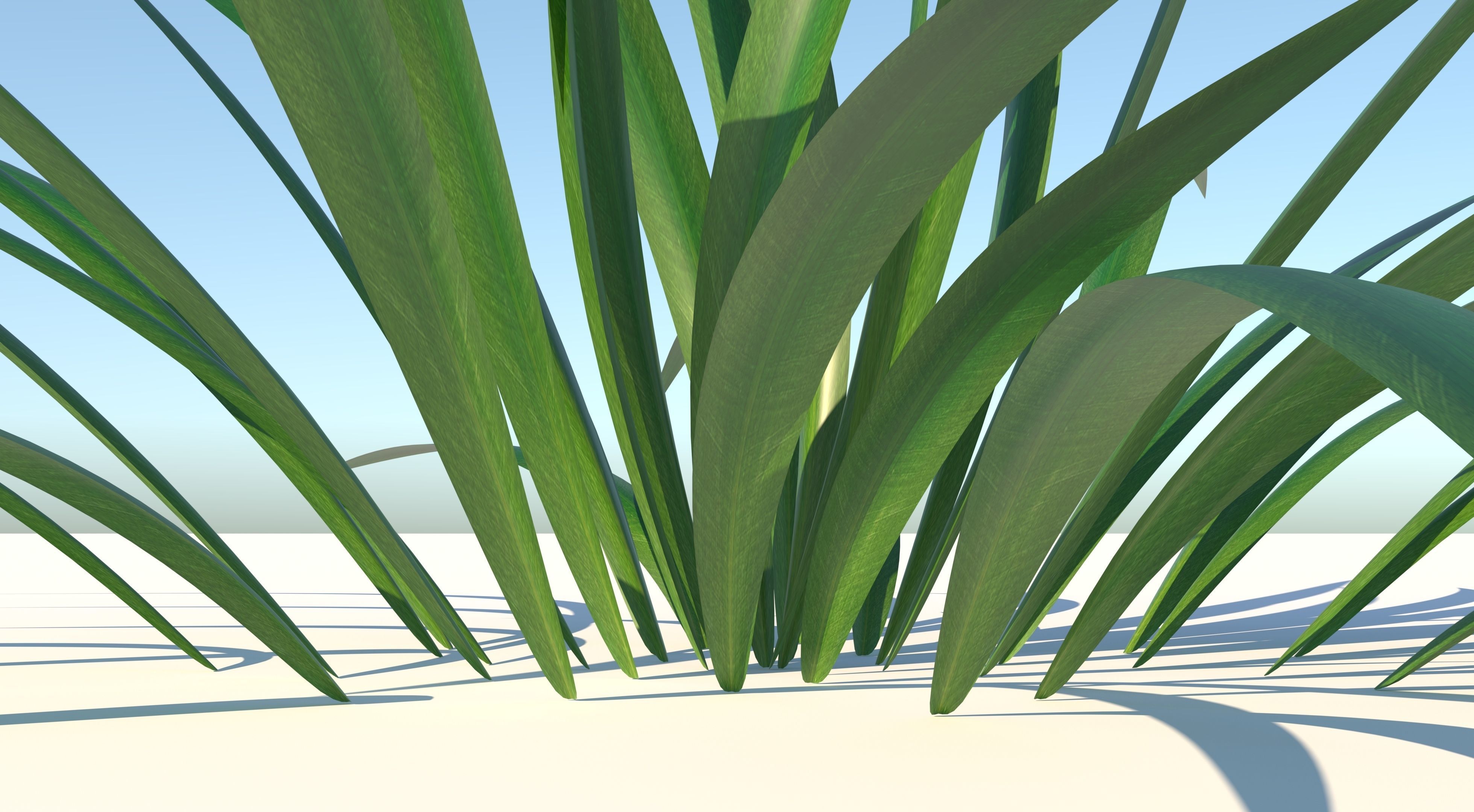 3D model Grass VR / AR / low-poly | CGTrader