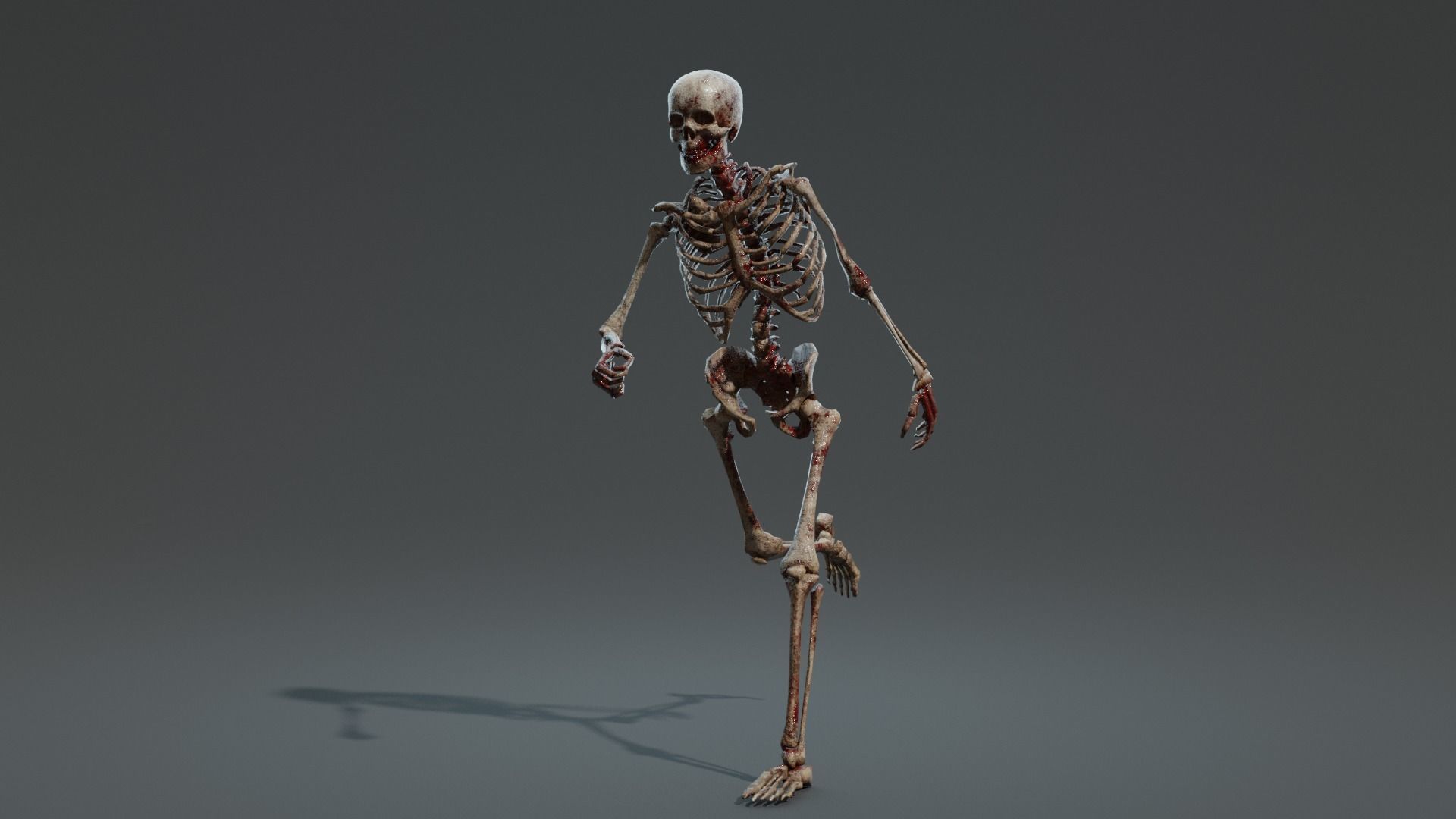 3D model Lowpoly Male Human Skeleton VR / AR / low-poly | CGTrader