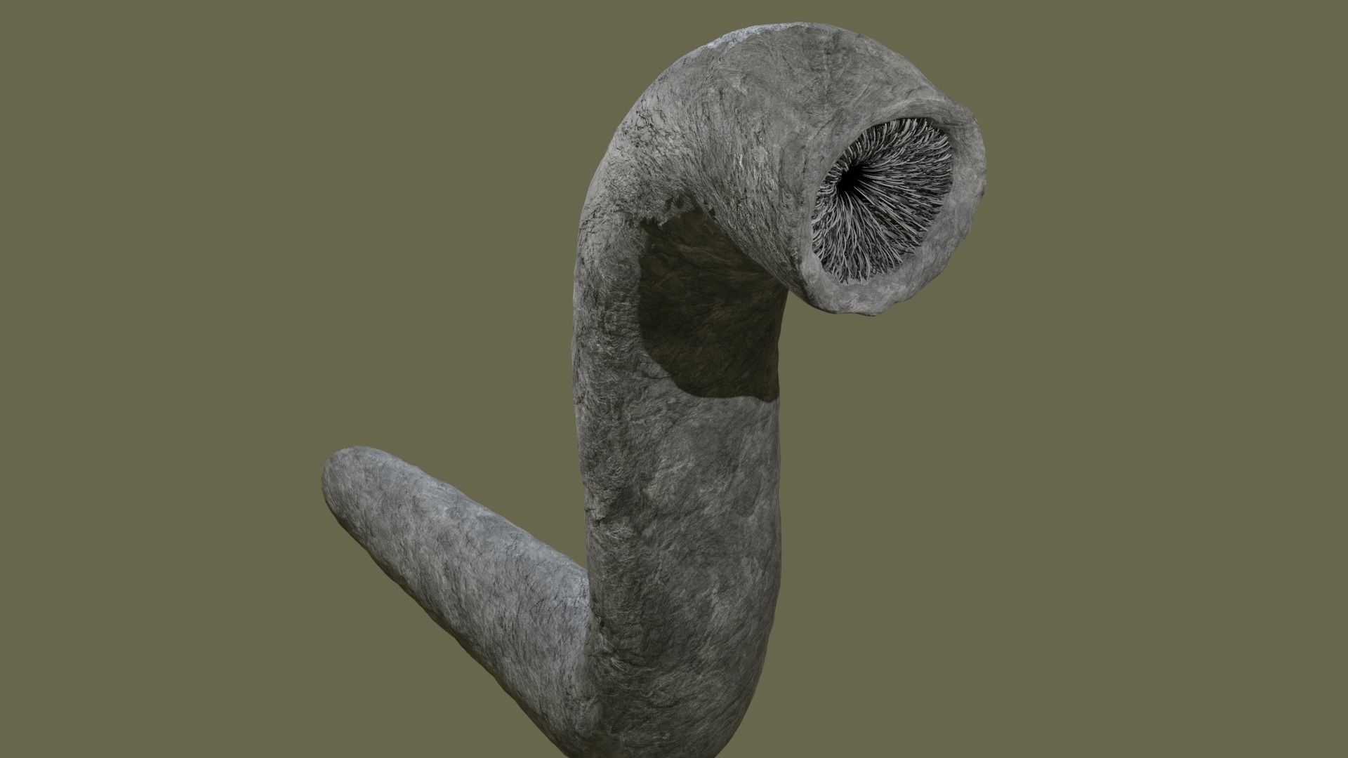 3D model Sandworm From Dune Rigged Sci-fi Character VR / AR / low-poly ...