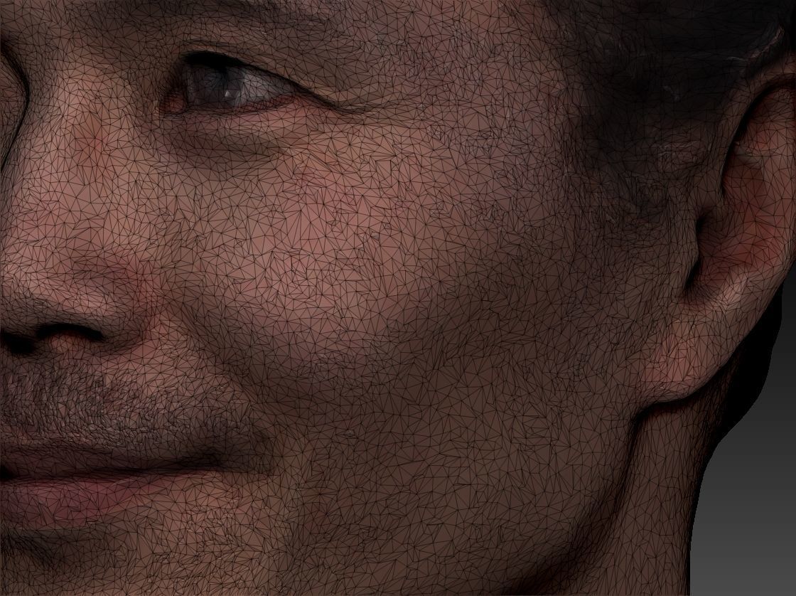 Photogrammetry Practice Pack 3D model | CGTrader