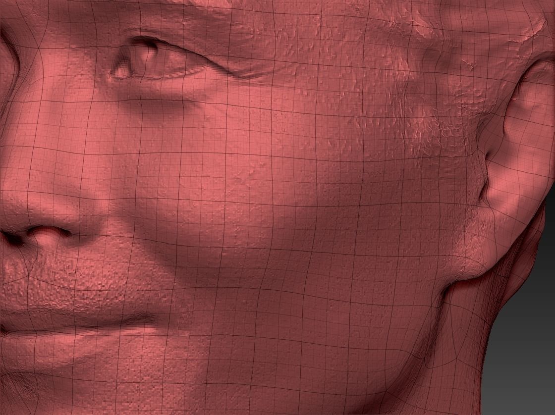 Photogrammetry Practice Pack 3D model | CGTrader