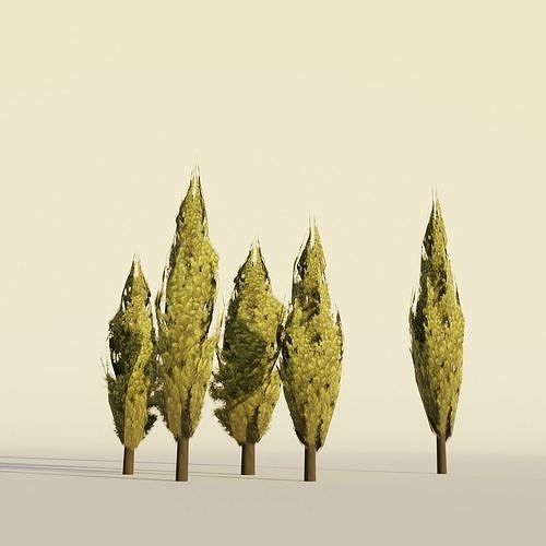 3D model Poplar tree set Cartoon Stylized Hand painted VR / AR / low ...