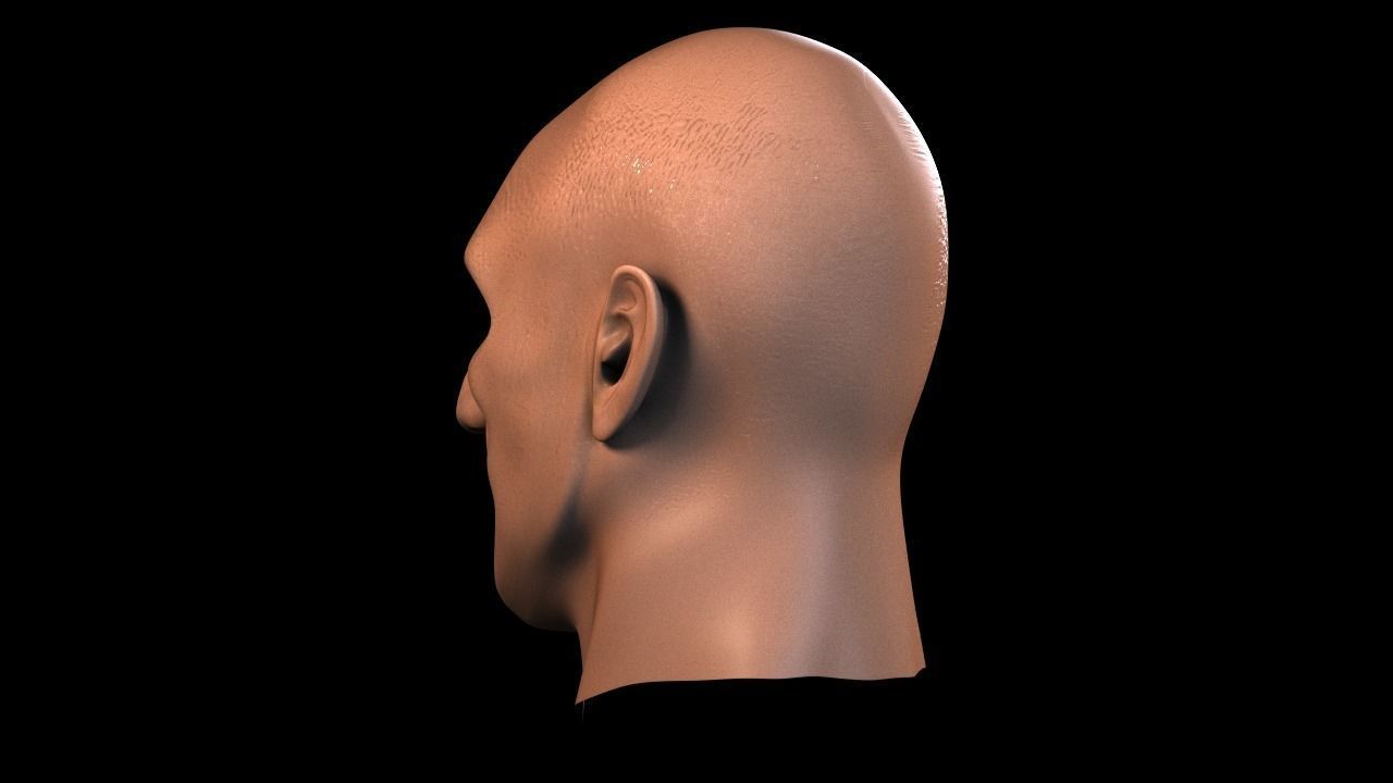 patrick stewart 3d model low poly high quality free VR / AR / low-poly ...