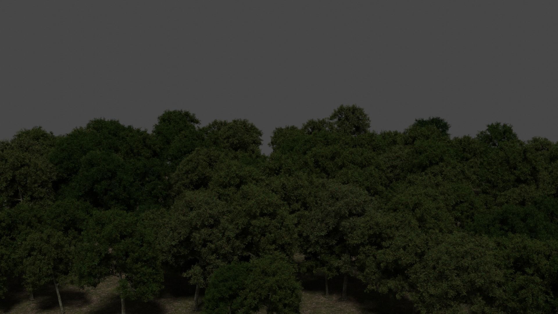 Tree landsca penature wood forest free VR / AR / low-poly 3D model ...