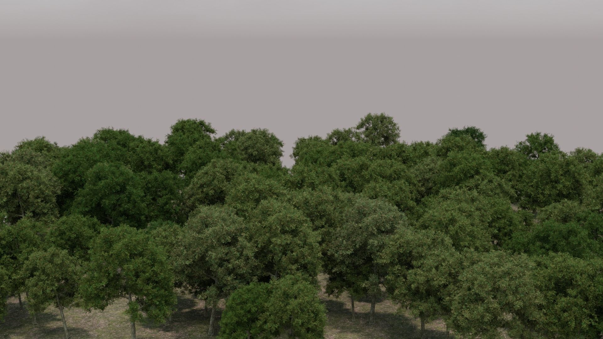 Tree landsca penature wood forest free VR / AR / low-poly 3D model ...