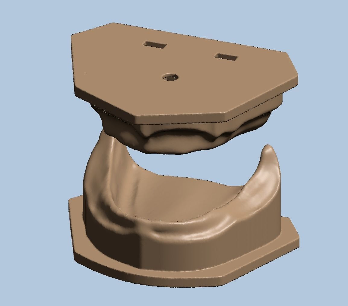 Silicon gum mold data for edentulous models 3D model 3D printable ...
